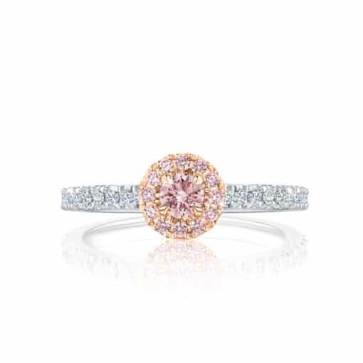 Platinum and 18ct Rose Gold Australian Argyle Pink Diamond™ Ring with Argyle Pink Diamond™ Halo ...